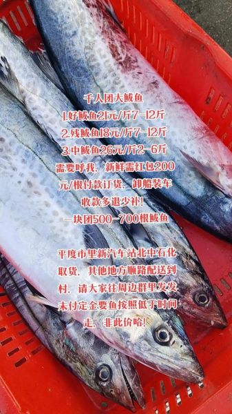 鲜鲅鱼多少钱一斤_鲜鲅鱼价格影响因素-第1张图片-山城妙识