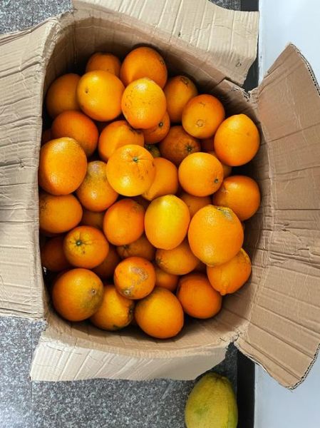 炒板栗技术培训哪家好_学炒板栗要多久-第2张图片-山城妙识 炒板栗技术培训哪家好_学炒板栗要多久-第2张图片-山城妙识