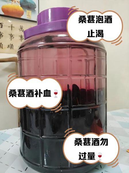 黑桑葚酒的功效与作用_黑桑葚酒能天天喝吗-第2张图片-山城妙识 黑桑葚酒的功效与作用_黑桑葚酒能天天喝吗-第2张图片-山城妙识