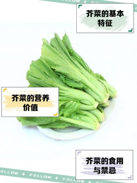 芥菜有几种品种图片_如何区分常见芥菜类型-第2张图片-山城妙识 芥菜有几种品种图片_如何区分常见芥菜类型-第2张图片-山城妙识