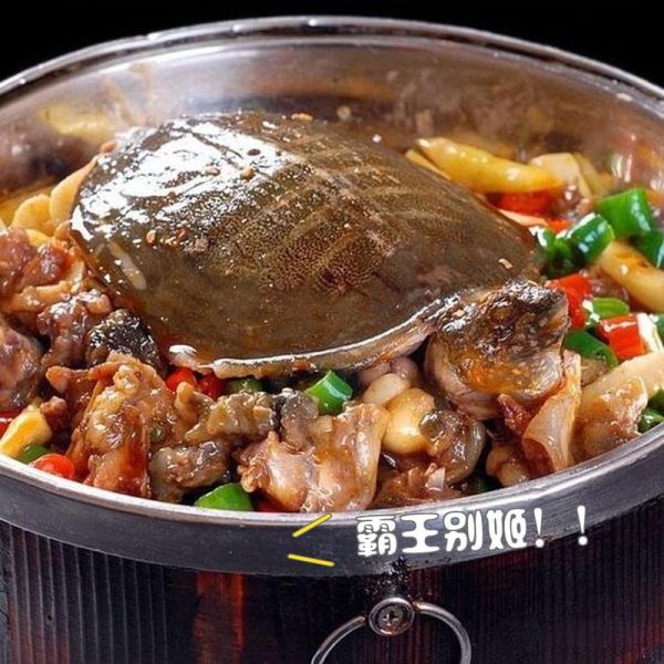 霸王别姬菜品典故_霸王别姬菜名的由来-第2张图片-山城妙识 霸王别姬菜品典故_霸王别姬菜名的由来-第2张图片-山城妙识