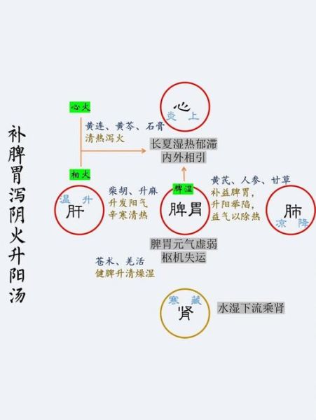 升阳除湿汤的功效与作用_升阳除湿汤适合哪些人-第3张图片-山城妙识 升阳除湿汤的功效与作用_升阳除湿汤适合哪些人-第3张图片-山城妙识