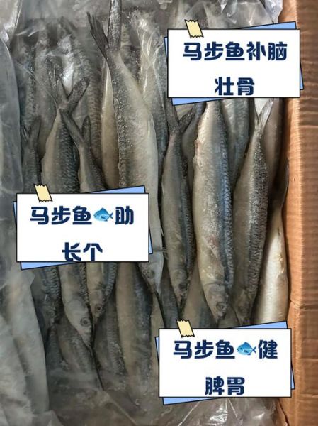马步鱼的营养价值_马步鱼适合什么人吃-第1张图片-山城妙识