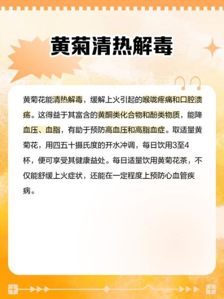 菊花泡水喝的禁忌_哪些人不能喝-第1张图片-山城妙识 菊花泡水喝的禁忌_哪些人不能喝-第1张图片-山城妙识