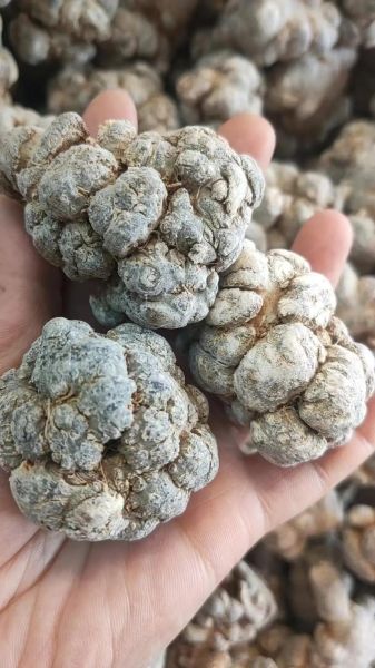 三七粉的正确吃法_三七粉禁忌有哪些-第3张图片-山城妙识 三七粉的正确吃法_三七粉禁忌有哪些-第3张图片-山城妙识