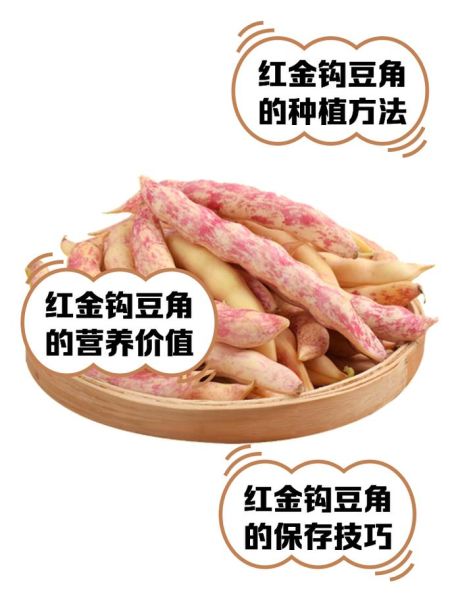 豆角的营养价值及功效与作用_豆角怎么吃最健康-第1张图片-山城妙识