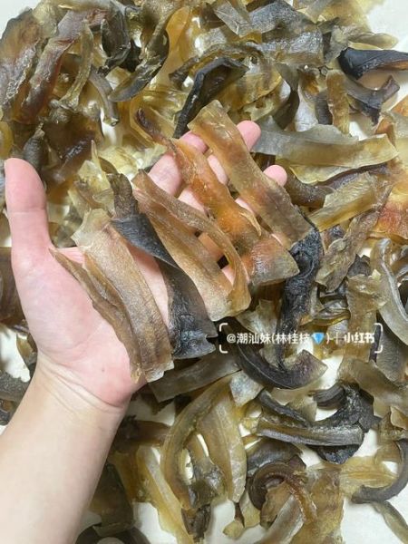 龟板的功效与作用_龟板主治哪些疾病-第3张图片-山城妙识