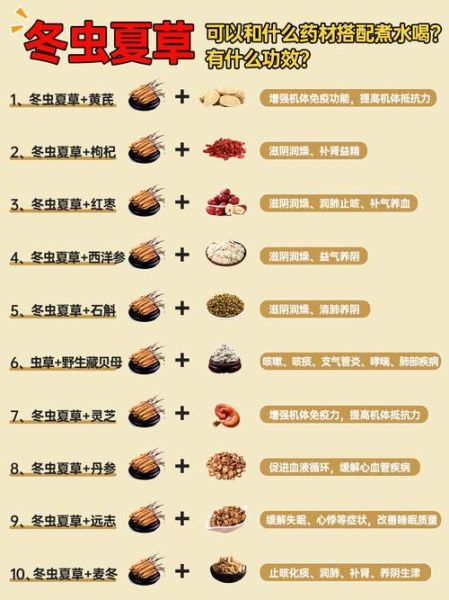 虫草的功效与作用适合哪些人_虫草适合什么体质吃-第3张图片-山城妙识 虫草的功效与作用适合哪些人_虫草适合什么体质吃-第3张图片-山城妙识