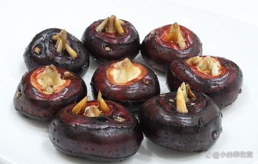 马蹄怎么读_荸荠的正确读音-第2张图片-山城妙识 马蹄怎么读_荸荠的正确读音-第2张图片-山城妙识