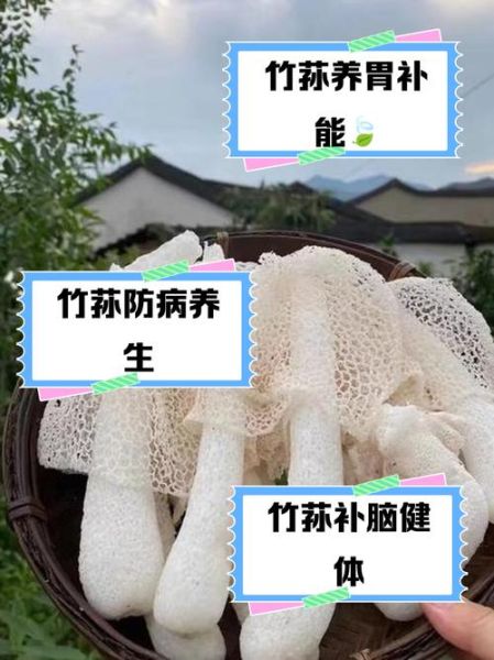 竹荪的营养价值_竹荪的功效与作用-第2张图片-山城妙识 竹荪的营养价值_竹荪的功效与作用-第2张图片-山城妙识