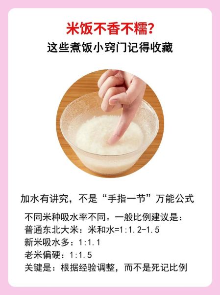 炒米饭怎么不粘锅_为什么炒饭会粘锅-第3张图片-山城妙识 炒米饭怎么不粘锅_为什么炒饭会粘锅-第3张图片-山城妙识