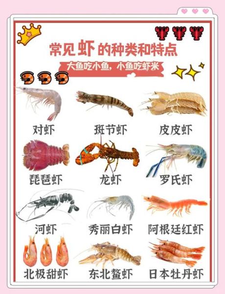 虾的种类有哪些_常见虾名称及图片对照-第1张图片-山城妙识
