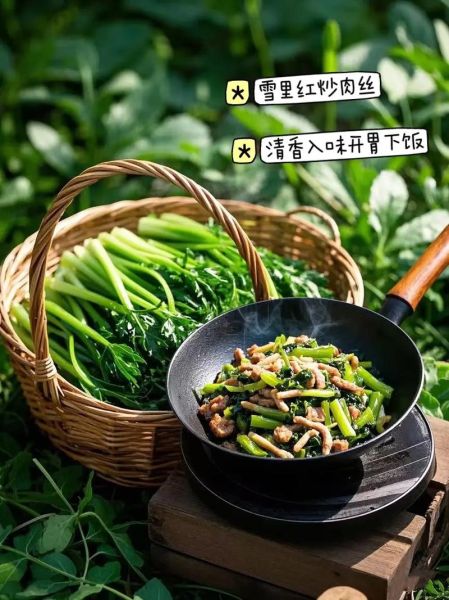 冬菜是什么菜做的_冬菜和雪里蕻的区别-第3张图片-山城妙识