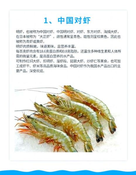虾的种类有哪些_常见虾名称及图片对照-第3张图片-山城妙识