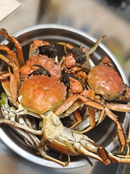 螃蟹吃什么食物_家养螃蟹喂什么-第2张图片-山城妙识