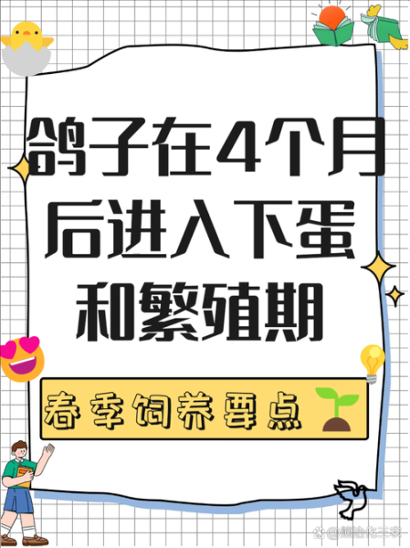 鸽子蛋孵化周期_小鸽子几天出壳-第1张图片-山城妙识 鸽子蛋孵化周期_小鸽子几天出壳-第1张图片-山城妙识
