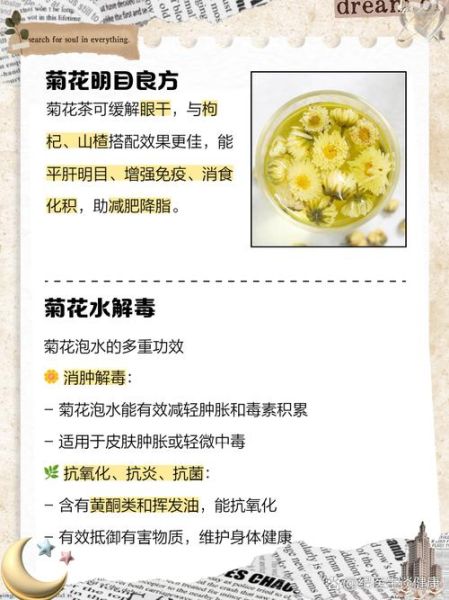 菊花泡水喝的功效与禁忌_哪些人不能喝-第3张图片-山城妙识