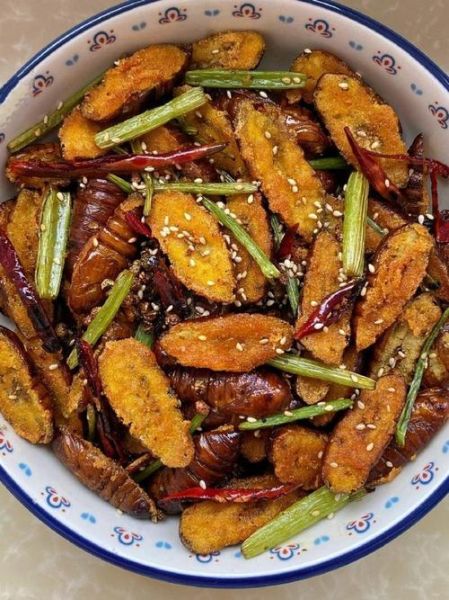 蚕蛹怎么炒又干又酥_蚕蛹酥脆技巧-第2张图片-山城妙识 蚕蛹怎么炒又干又酥_蚕蛹酥脆技巧-第2张图片-山城妙识