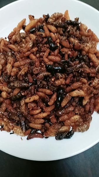 蚕蛹怎么炒又干又酥_蚕蛹酥脆技巧-第3张图片-山城妙识 蚕蛹怎么炒又干又酥_蚕蛹酥脆技巧-第3张图片-山城妙识