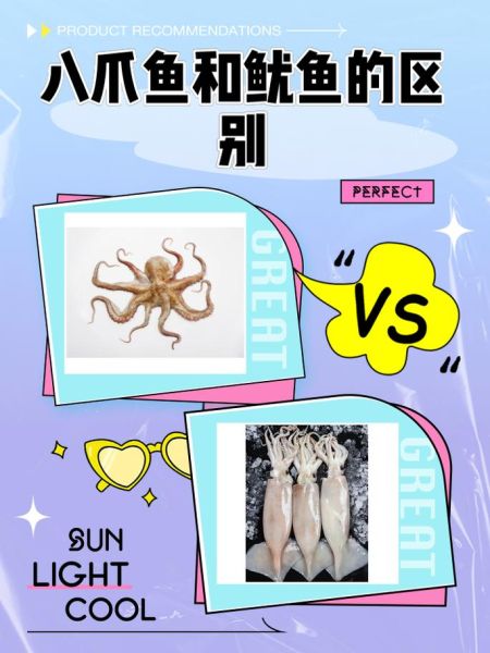 鱿鱼和章鱼的区别_哪个更好吃-第1张图片-山城妙识 鱿鱼和章鱼的区别_哪个更好吃-第1张图片-山城妙识