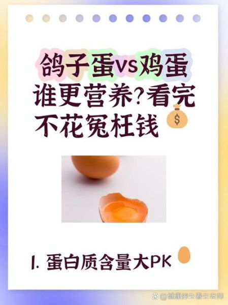 鸽子蛋的营养价值高吗_鸽子蛋和鸡蛋哪个更营养-第1张图片-山城妙识