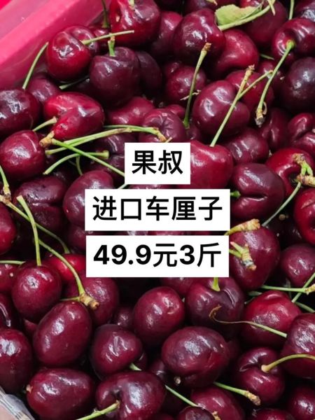 车厘子为什么这么贵_进口车厘子价格高的原因-第2张图片-山城妙识 车厘子为什么这么贵_进口车厘子价格高的原因-第2张图片-山城妙识