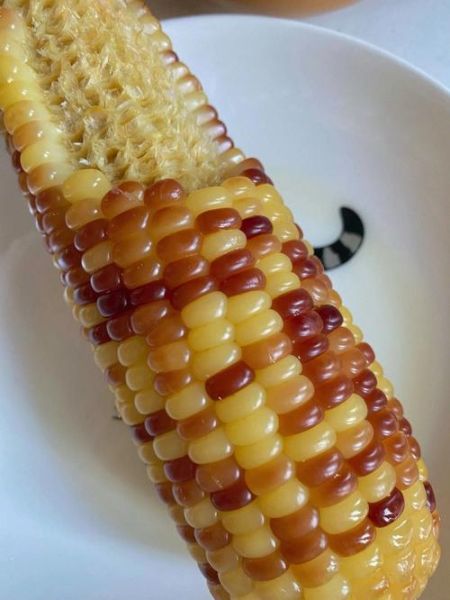 糯玉米图片_糯玉米怎么做好吃-第1张图片-山城妙识 糯玉米图片_糯玉米怎么做好吃-第1张图片-山城妙识