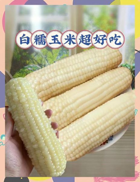 糯玉米图片_糯玉米怎么做好吃-第3张图片-山城妙识 糯玉米图片_糯玉米怎么做好吃-第3张图片-山城妙识
