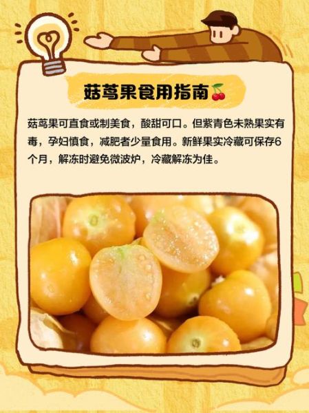 菇茑果的功效与作用_菇茑果的禁忌有哪些-第3张图片-山城妙识