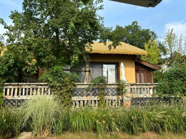 家常牛肉面怎么做_牛肉面汤头怎么熬-第1张图片-山城妙识 家常牛肉面怎么做_牛肉面汤头怎么熬-第1张图片-山城妙识