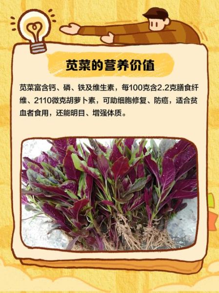 苋怎么读拼音_苋字常见组词-第3张图片-山城妙识 苋怎么读拼音_苋字常见组词-第3张图片-山城妙识