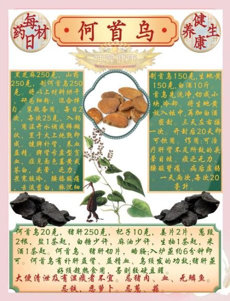 何首乌怎么吃治白发_何首乌治白发的正确吃法-第3张图片-山城妙识 何首乌怎么吃治白发_何首乌治白发的正确吃法-第3张图片-山城妙识