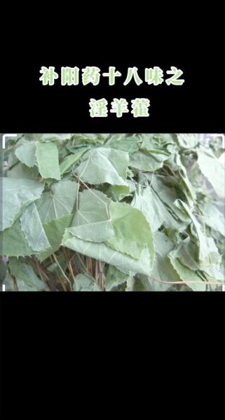 补肾壮阳植物有哪些_哪种效果最好-第1张图片-山城妙识 补肾壮阳植物有哪些_哪种效果最好-第1张图片-山城妙识