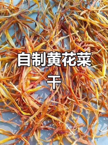 鲜黄花菜怎么晒干_黄花菜晒干要焯水吗-第2张图片-山城妙识 鲜黄花菜怎么晒干_黄花菜晒干要焯水吗-第2张图片-山城妙识