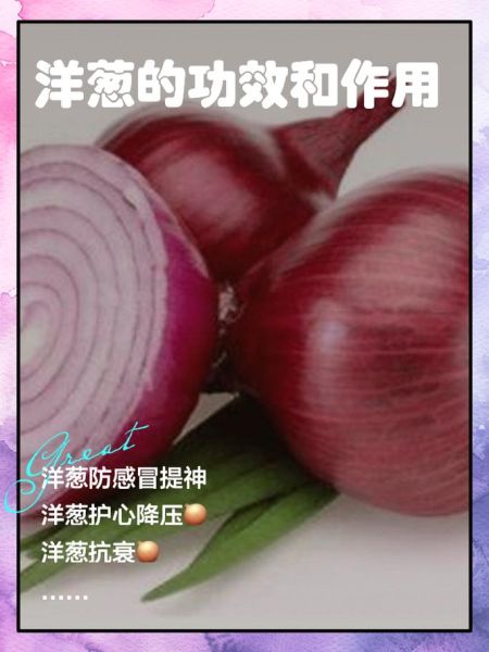 洋葱的功效与作用禁忌_生吃洋葱会上火吗-第1张图片-山城妙识 洋葱的功效与作用禁忌_生吃洋葱会上火吗-第1张图片-山城妙识