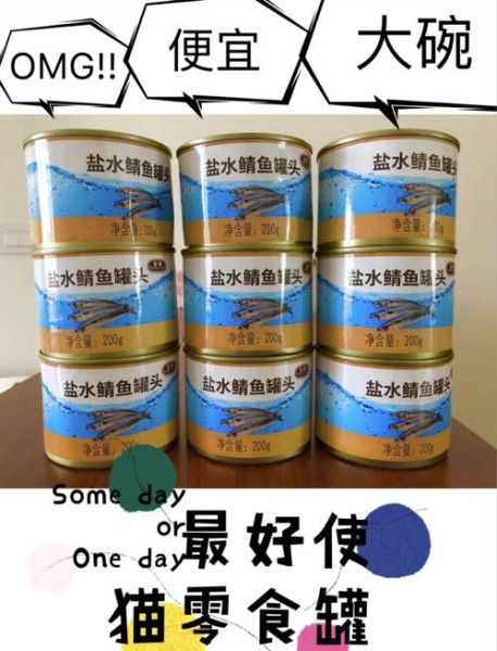 鱼罐头有防腐剂吗_孕妇能吃吗-第1张图片-山城妙识 鱼罐头有防腐剂吗_孕妇能吃吗-第1张图片-山城妙识