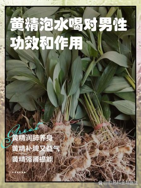 黄精枸杞泡水喝的功效_适合什么人喝-第2张图片-山城妙识 黄精枸杞泡水喝的功效_适合什么人喝-第2张图片-山城妙识