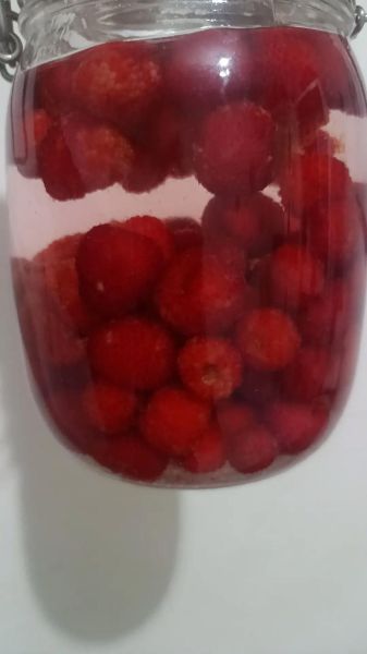 树莓能直接泡白酒吗_树莓泡酒比例是多少-第3张图片-山城妙识 树莓能直接泡白酒吗_树莓泡酒比例是多少-第3张图片-山城妙识