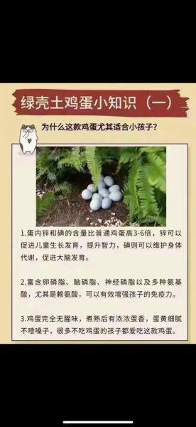绿壳蛋鸡养殖骗局是真的吗_如何识别套路-第1张图片-山城妙识 绿壳蛋鸡养殖骗局是真的吗_如何识别套路-第1张图片-山城妙识