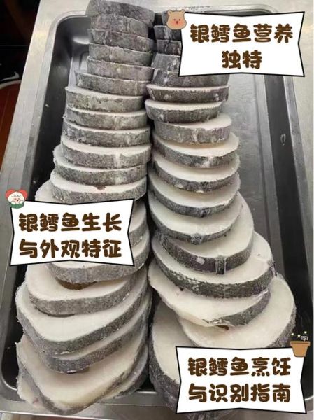 银鳕鱼的营养价值_银鳕鱼适合什么人吃-第2张图片-山城妙识