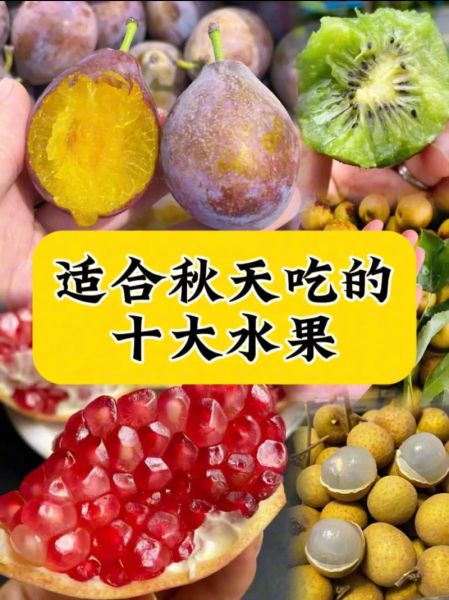 秋天成熟的水果有哪些_秋季应季水果推荐-第2张图片-山城妙识 秋天成熟的水果有哪些_秋季应季水果推荐-第2张图片-山城妙识