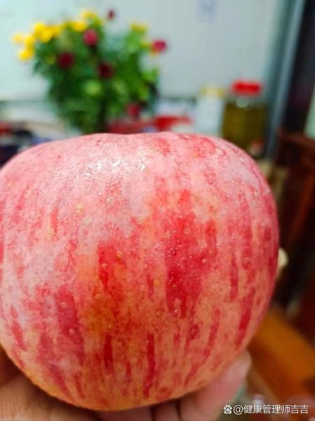 秋天成熟的水果有哪些_秋季应季水果推荐-第3张图片-山城妙识 秋天成熟的水果有哪些_秋季应季水果推荐-第3张图片-山城妙识