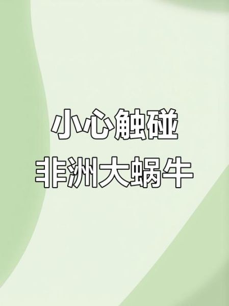 非洲大蜗牛有病毒吗_非洲大蜗牛携带哪些病毒-第1张图片-山城妙识