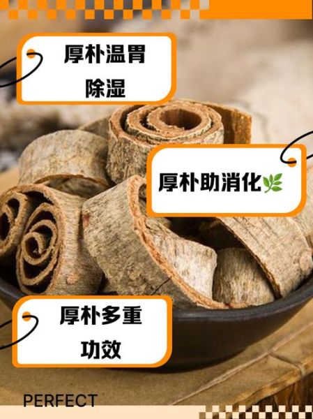 厚朴的功效与作用_厚朴能长期吃吗-第2张图片-山城妙识