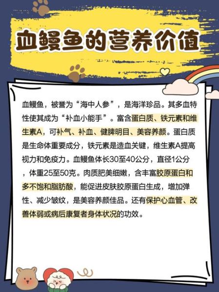 鳝鱼血有什么功效_鳝鱼血能治疗哪些疾病-第1张图片-山城妙识 鳝鱼血有什么功效_鳝鱼血能治疗哪些疾病-第1张图片-山城妙识