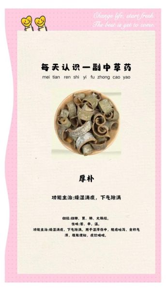 厚朴的功效与作用_厚朴能长期吃吗-第1张图片-山城妙识