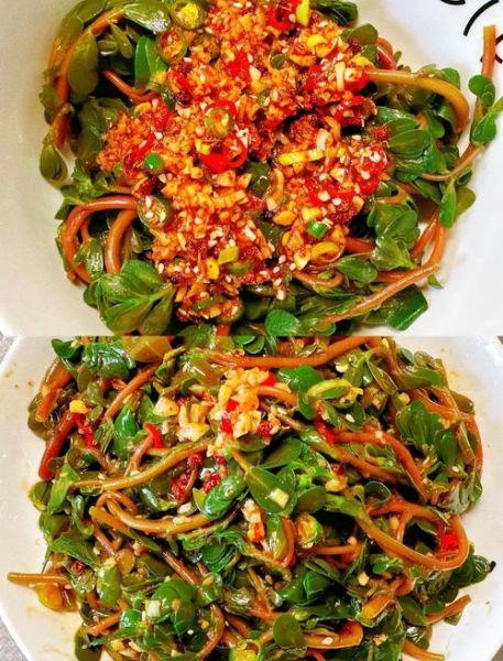 凉拌野菜马齿苋怎么做_马齿苋凉拌需要焯水吗-第1张图片-山城妙识 凉拌野菜马齿苋怎么做_马齿苋凉拌需要焯水吗-第1张图片-山城妙识