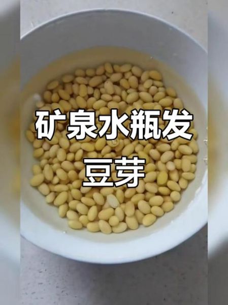 矿泉水瓶发豆芽的方法_矿泉水瓶发豆芽多久能好-第1张图片-山城妙识