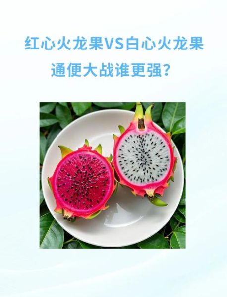 红心火龙果和白心火龙果哪个好_营养价值区别-第3张图片-山城妙识 红心火龙果和白心火龙果哪个好_营养价值区别-第3张图片-山城妙识