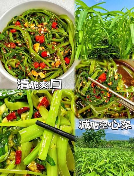 空心菜和什么搭配好吃_空心菜最佳搭配推荐-第1张图片-山城妙识